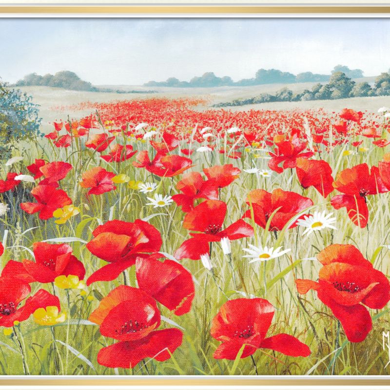 Red Poppies In Flanders Fields