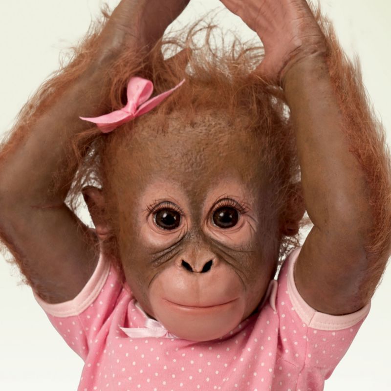 Girl Little Monkey Little Monkey Toes