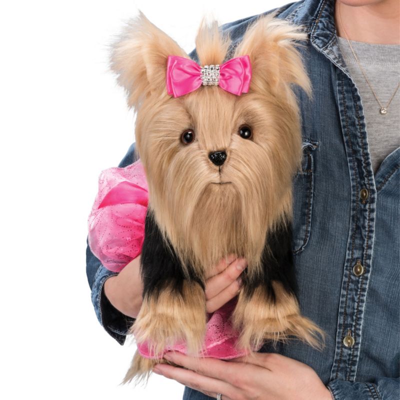 Cute Yorkie Accessories Yorkie Poo Harnesses, Coats, Clothes, Carriers